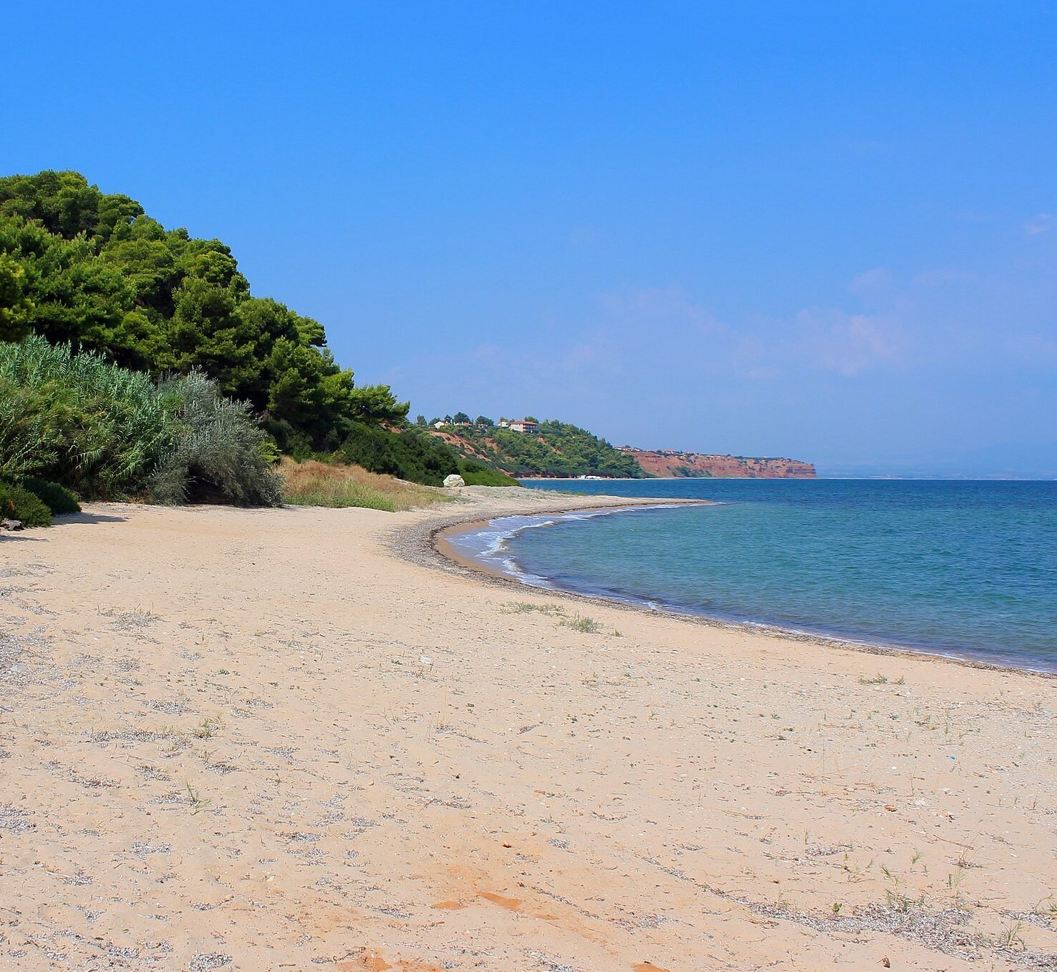 Nea Potidea Beach Halkidiki - Ηellenic Season